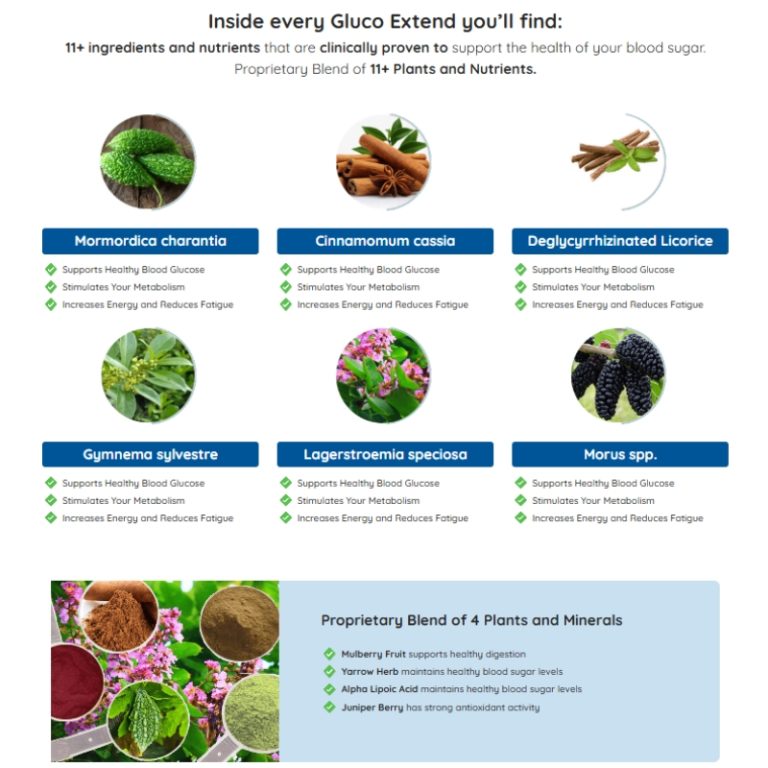 Gluco Extend Supplement