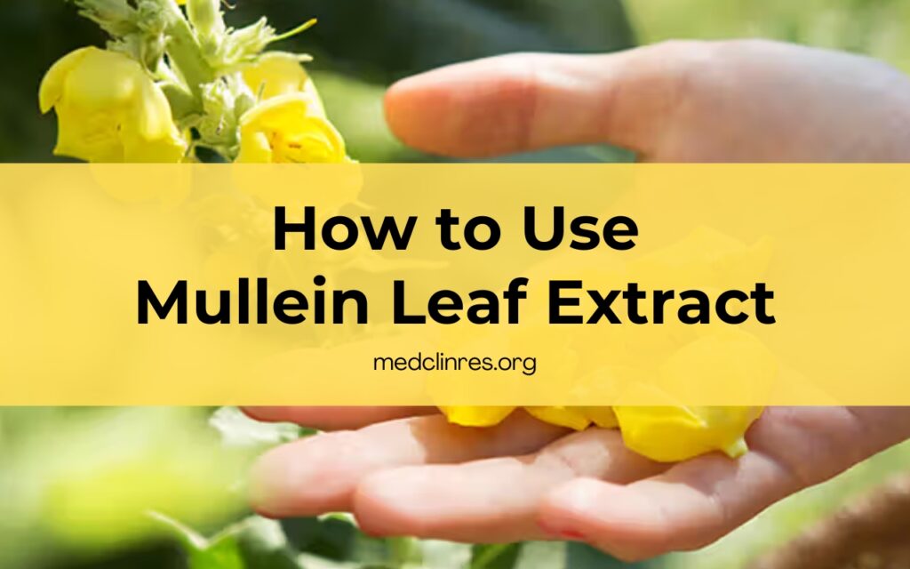 How to Use Mullein Leaf Extract: A Medical Perspective on Its Benefits ...