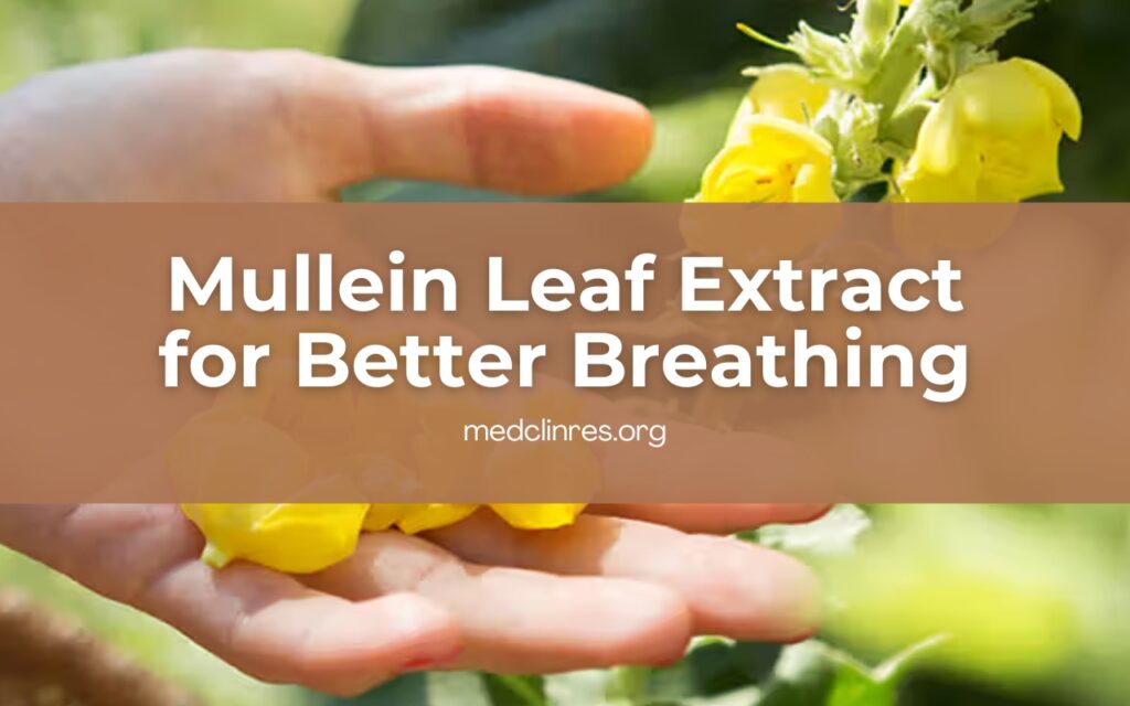 Mullein Leaf Extract for Better Breathing: A Clinical Perspective on ...