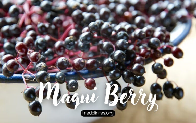 Maqui Berry Benefits and Uses: A Science-Backed Superfruit for Health and Wellness